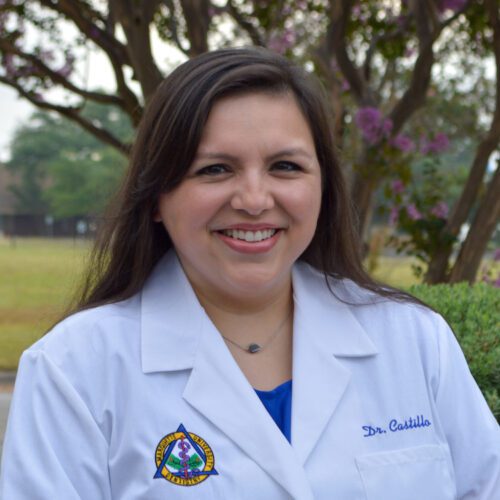Dr. Amanda Castillo is a dentist in San Antonio, TX